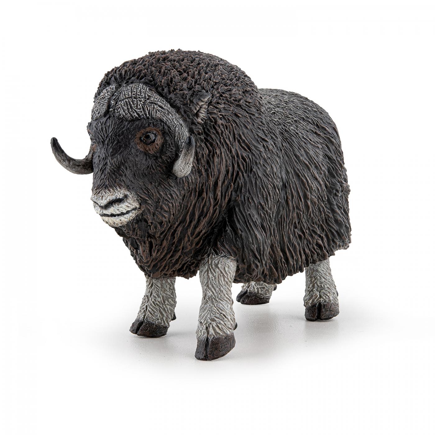 Papo Wildtiere der Erde: Papo Moschusochse 50308