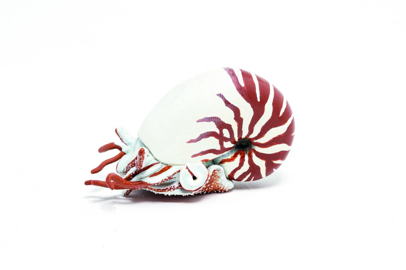Papo Marine Creatures: Papo Nautilus Nautilidae 56061