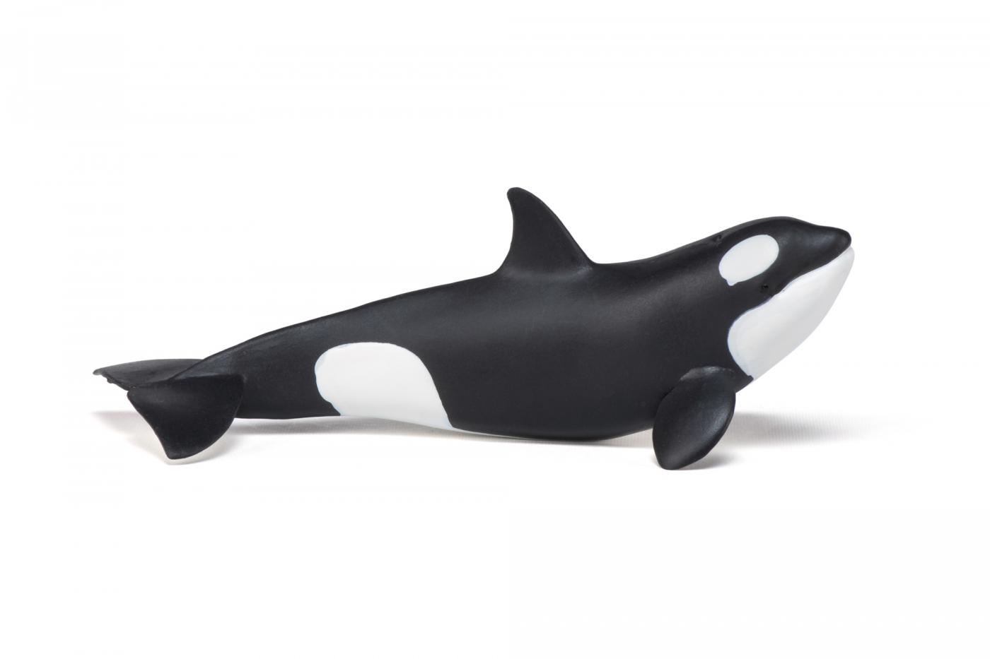 Papo Marine Life: Papo Orca calf 56040
