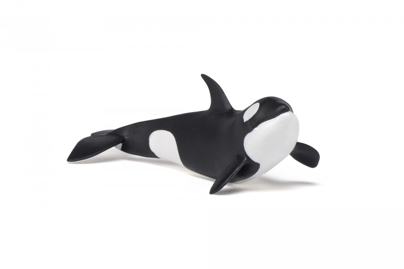 Papo Marine Life: Papo Orca calf 56040