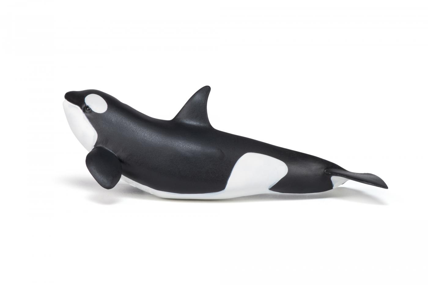 Papo Marine Life: Papo Orca calf 56040