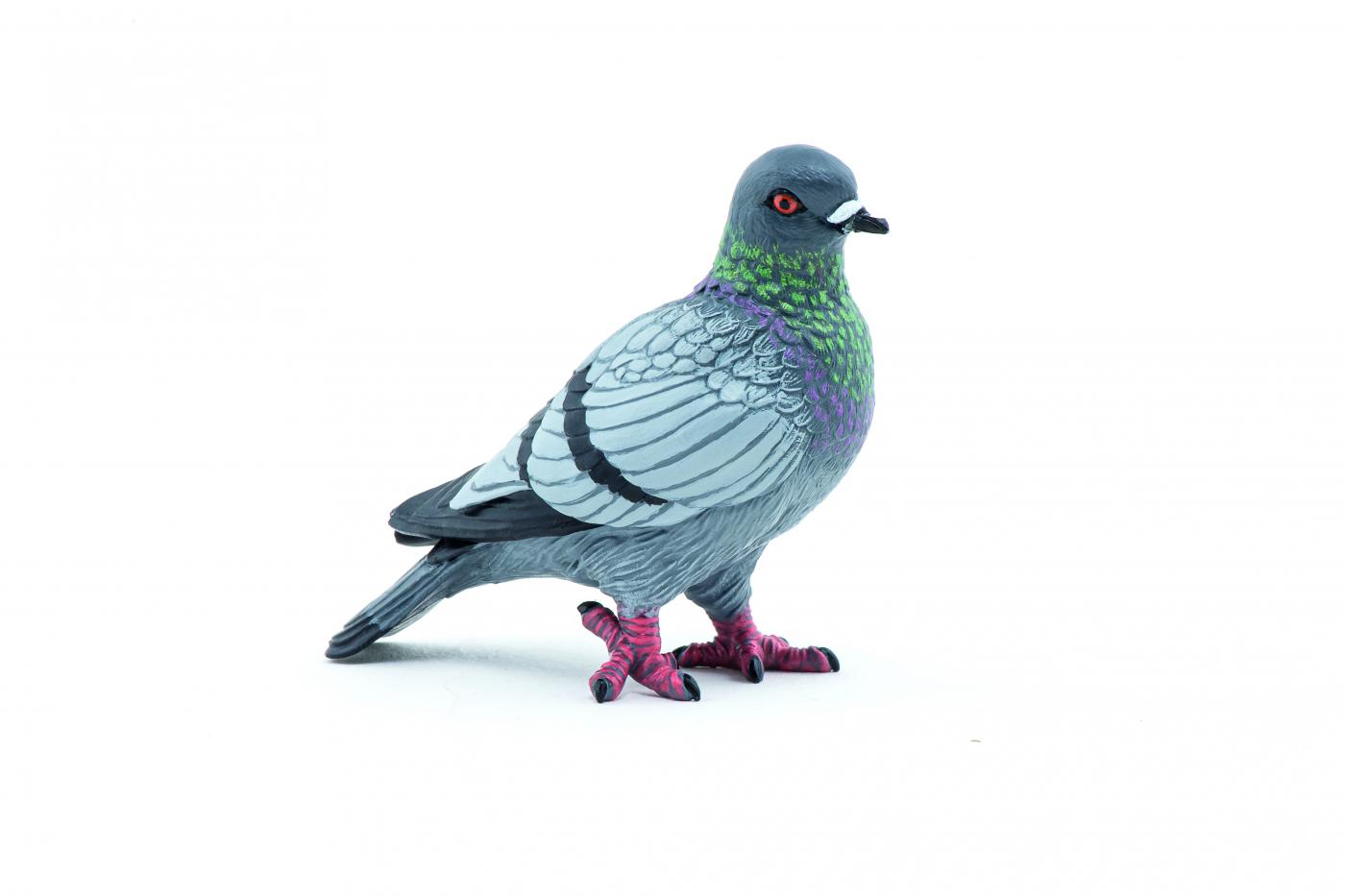Papo Wild Animal Kingdom: Papo Pigeon 50295