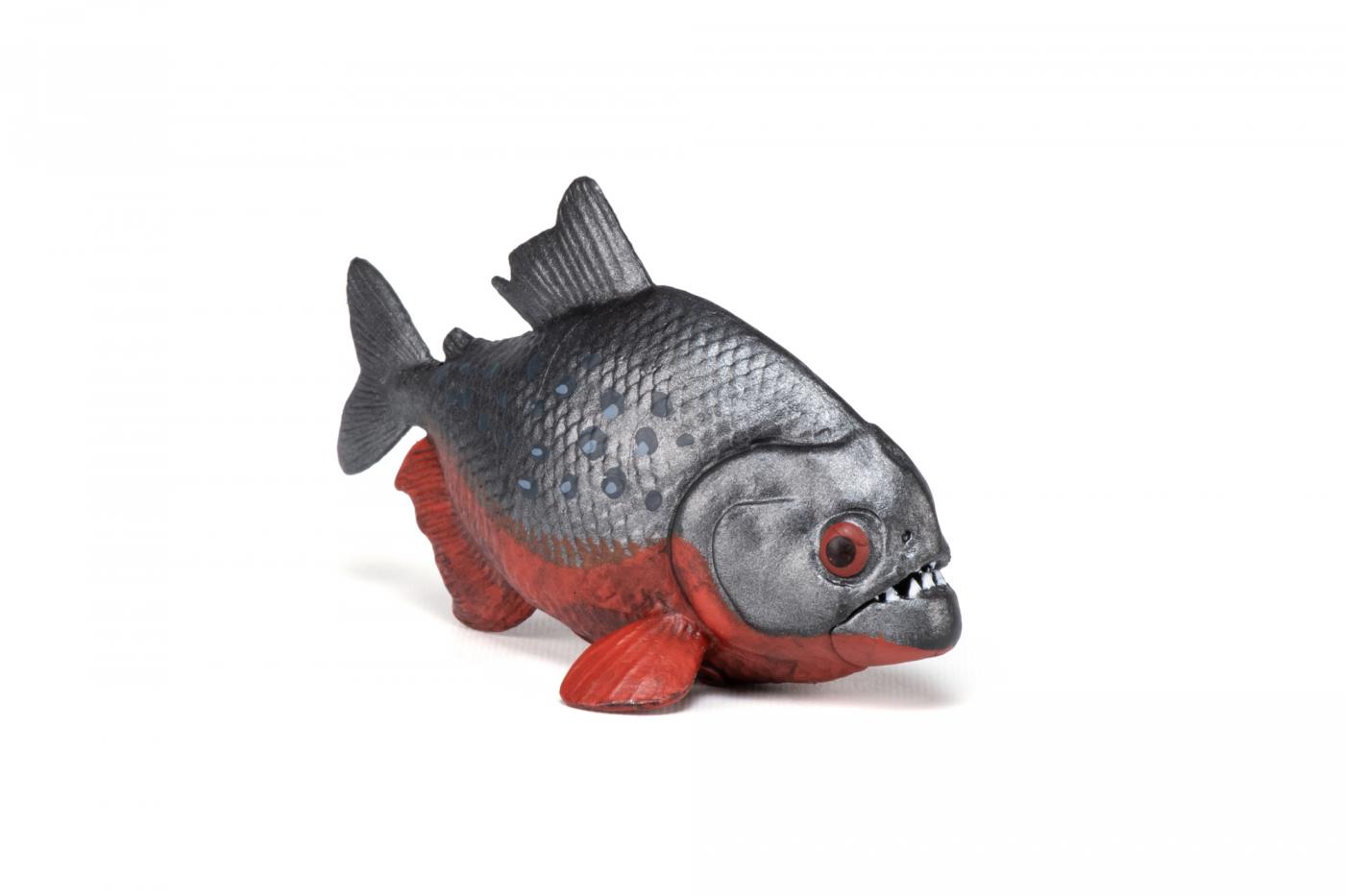 Papo Wildtiere der Erde: Papo Piranha 50253