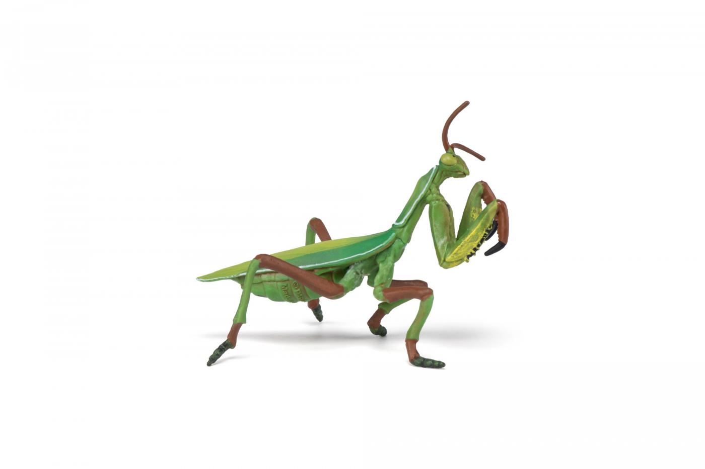 Papo Wild Animal Kingdom: Papo Praying mantis 50244