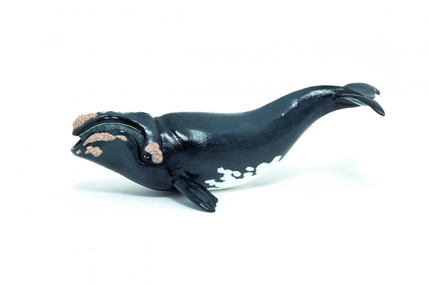 Papo Marine Creatures: Papo Right whale 56057
