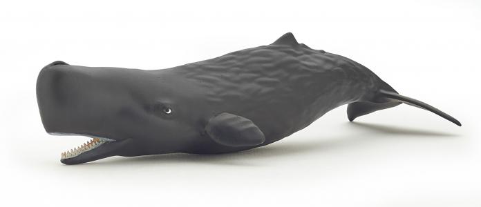 Papo Marine Life: Papo Blue Whale Calf 56041