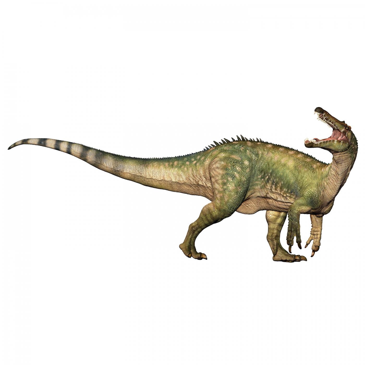 Papo Dinosaurs: Papo Suchomimus dino 55101
