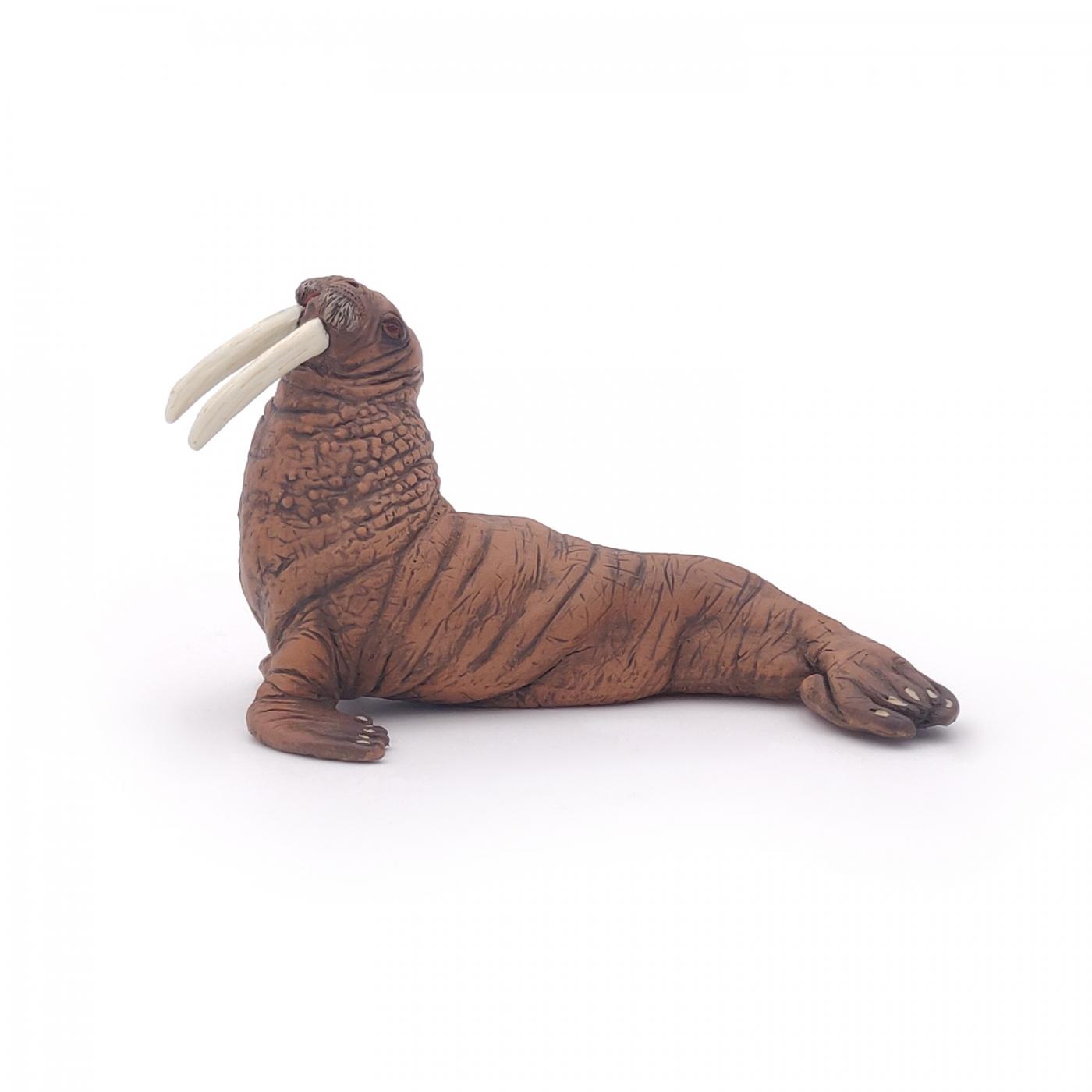 Papo Marine Life: Papo Walrus 56030