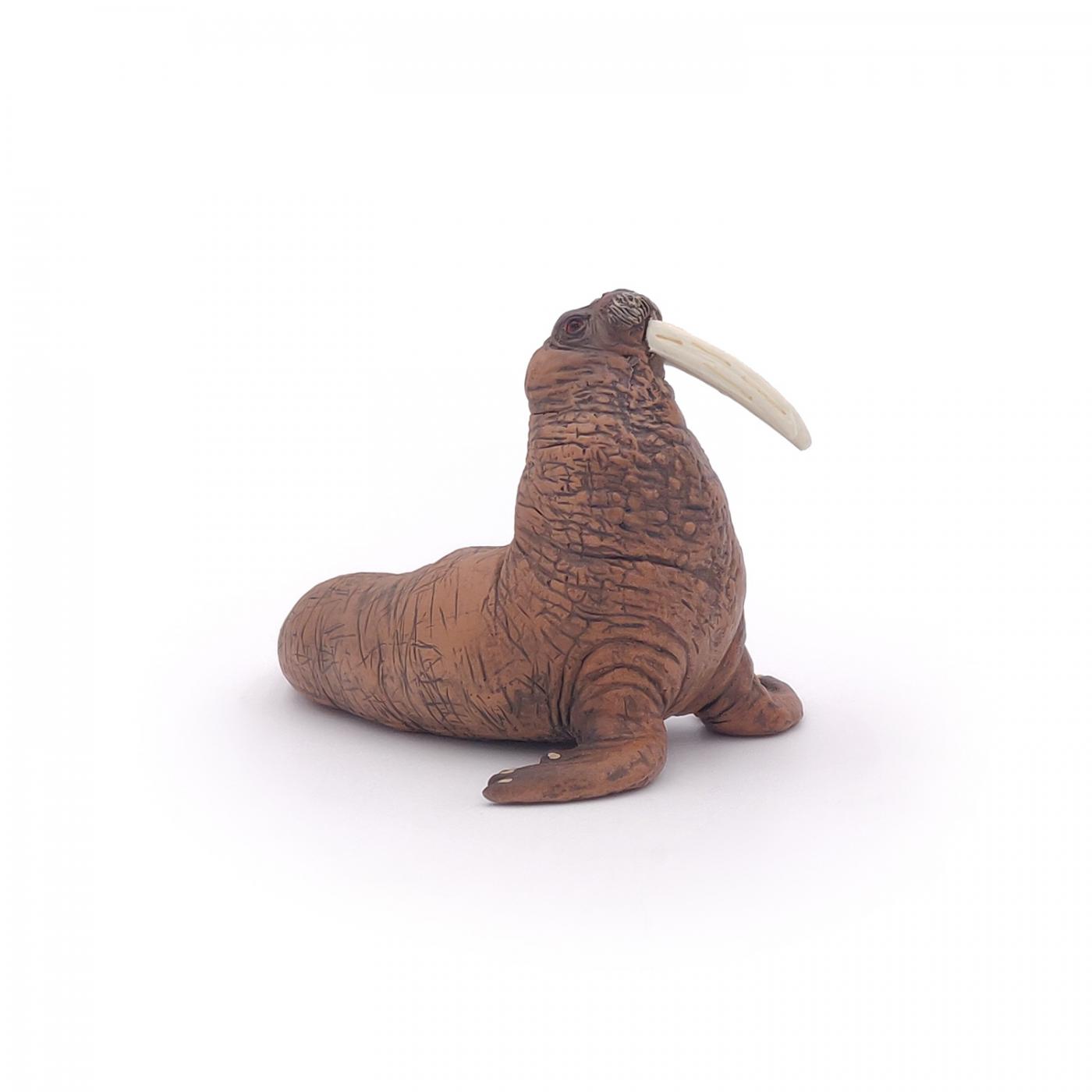 Papo Marine Life: Papo Walrus 56030