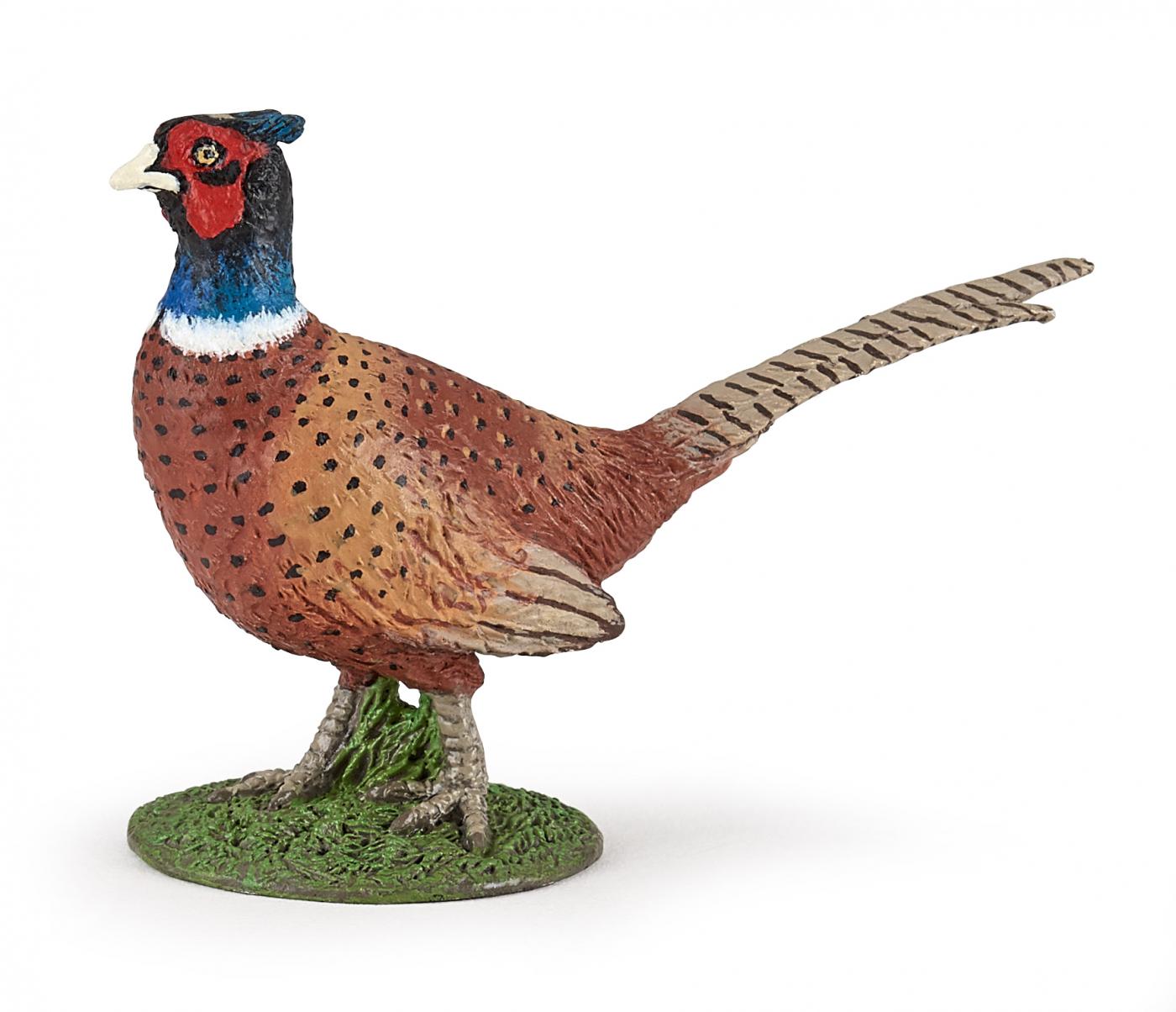 Papo Wild Animal Kingdom: Papo pheasant 50263