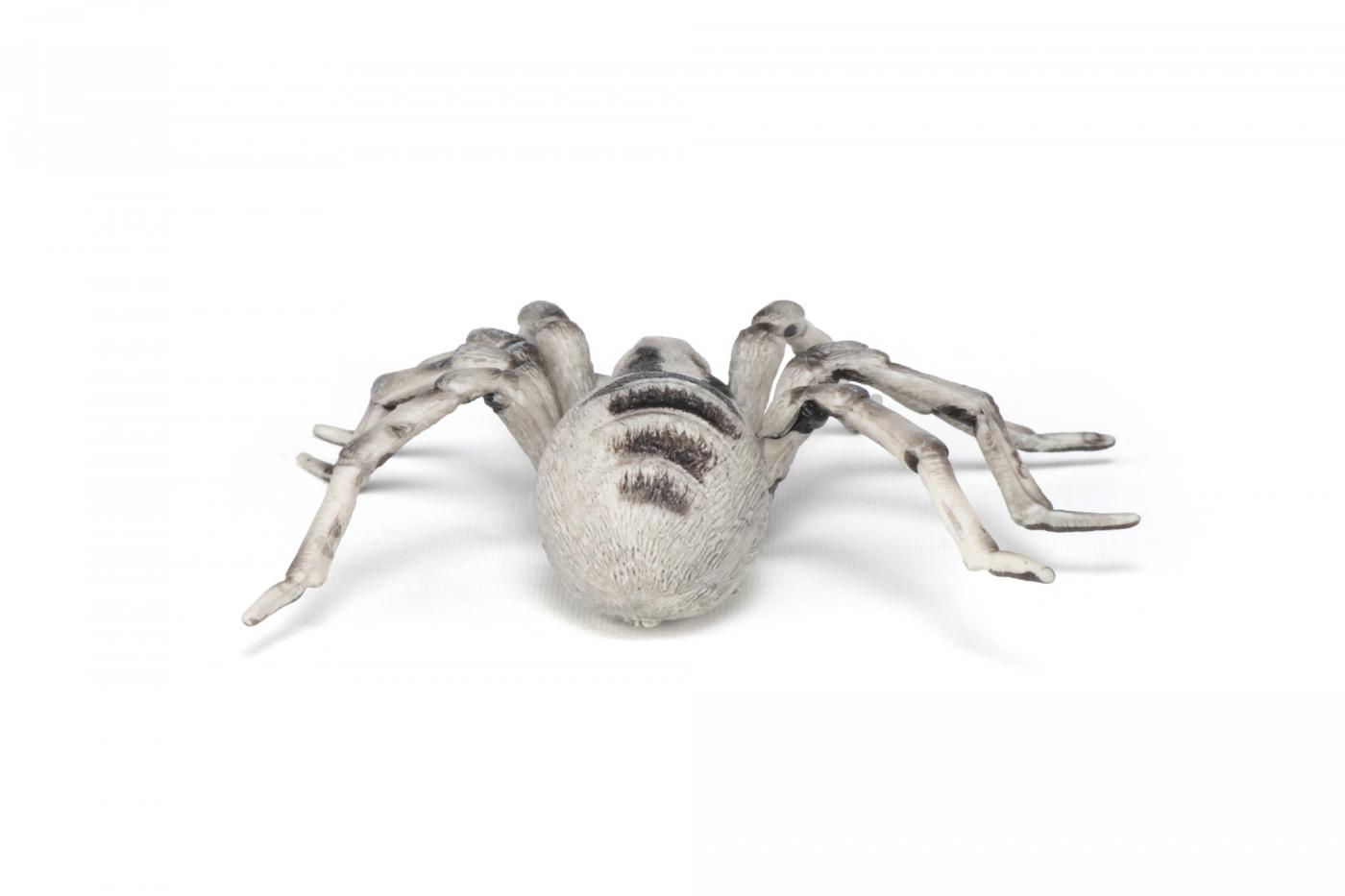 Papo Wild Animal Kingdom: Papo tarantula 50190