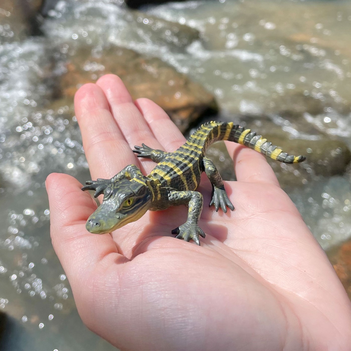 Safari Wildtiere: Safari Alligator Baby 101073
