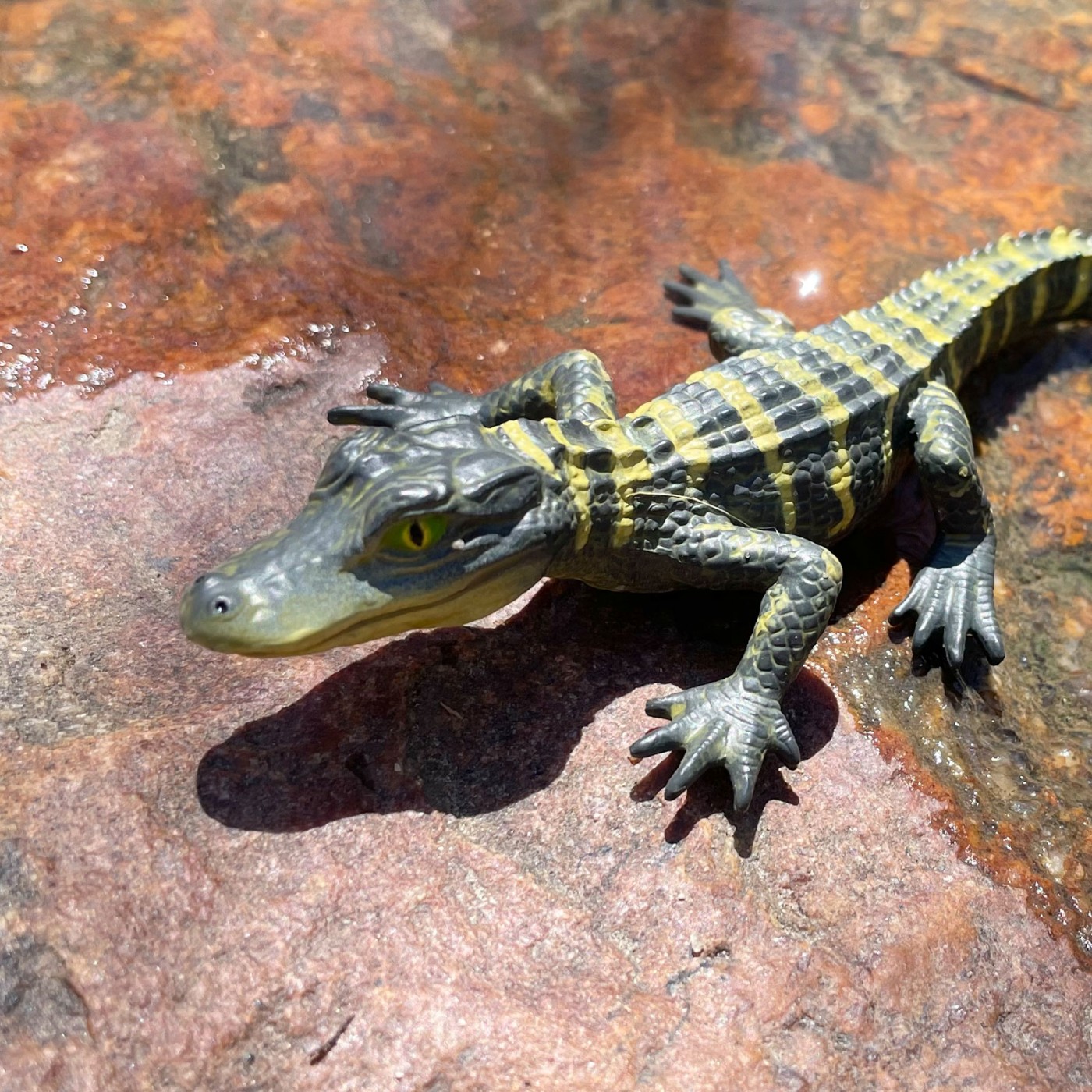 Safari Wildtiere: Safari Alligator Baby 101073