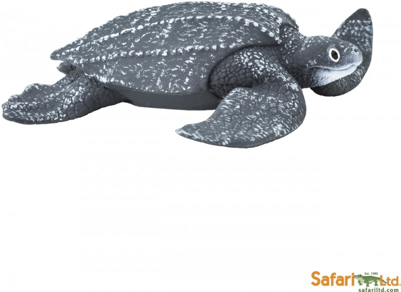 Safari Sea Life: Safari Leatherback Sea Turtle 202429