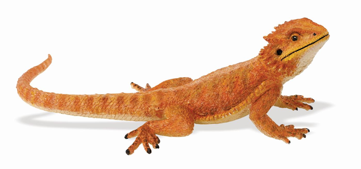 Safari Ltd 2631 Bearded Lizard - animal figures at spielzeug-guenstig.de