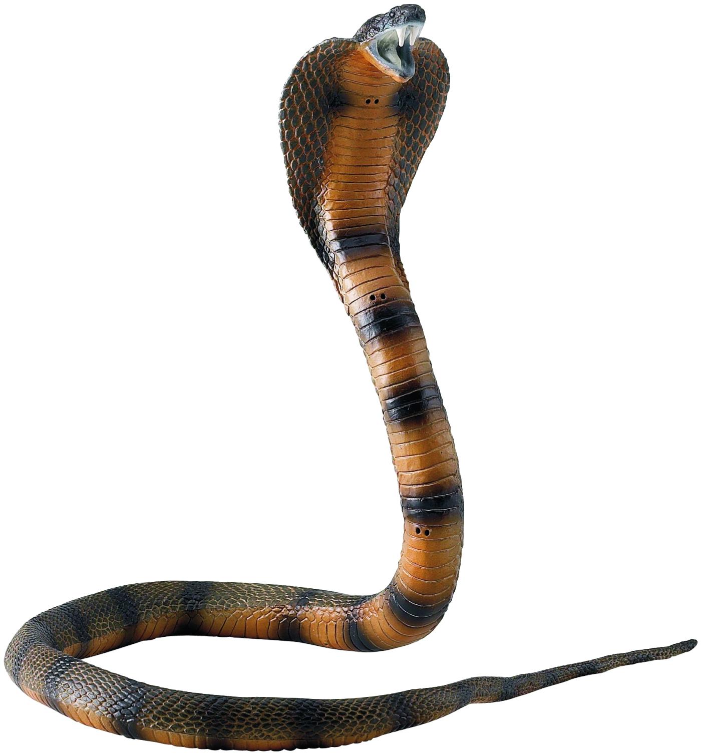 Safari Ltd 2603 Cobra - Tierfiguren - Figuren bei spielzeug-guenstig.de