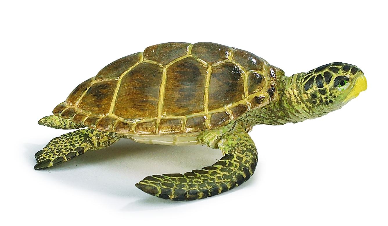 Safari Ltd 2202 turtle - animal figures at spielzeug-guenstig.de