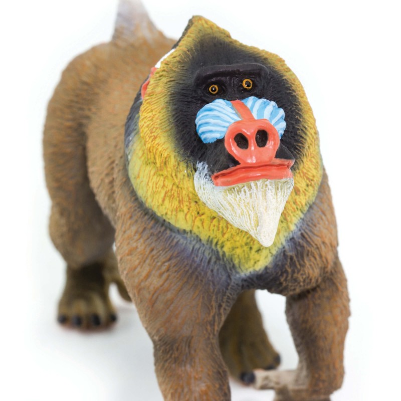 Safari Wild Life: Safari Mandrill primate 100273