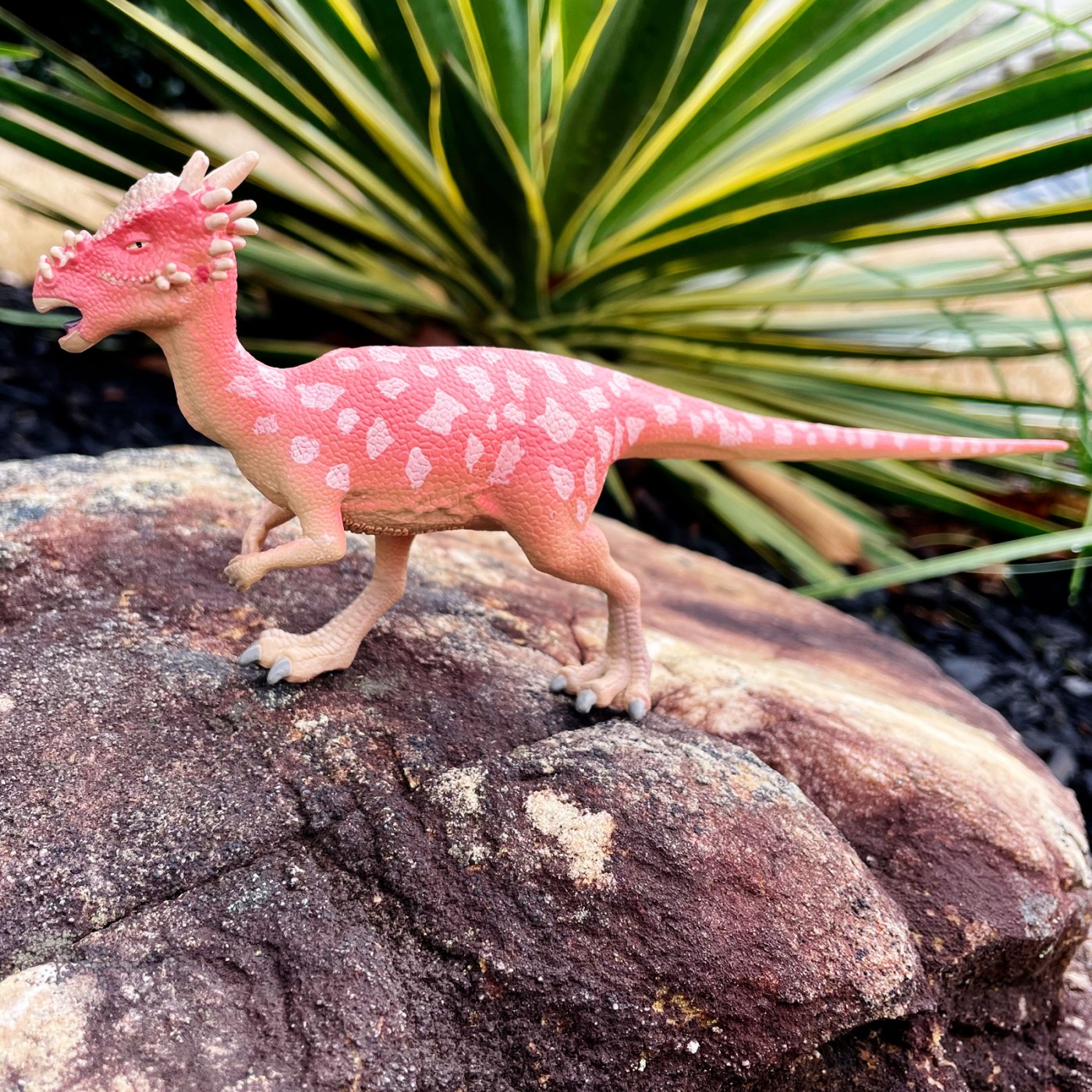 Safari Prehistoric World: Safari Pachycephalosaurus Hic