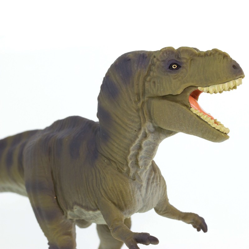 Safari Prähistorisches Leben: Safari Tyrannosaurus Rex 100423
