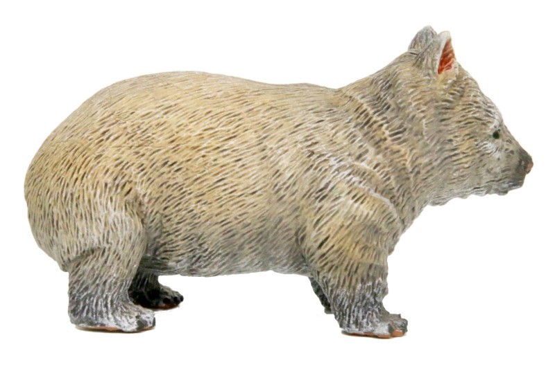 Southlands Australian Wildlife: Southlands Southern Hairy-Nosed Wombat ...