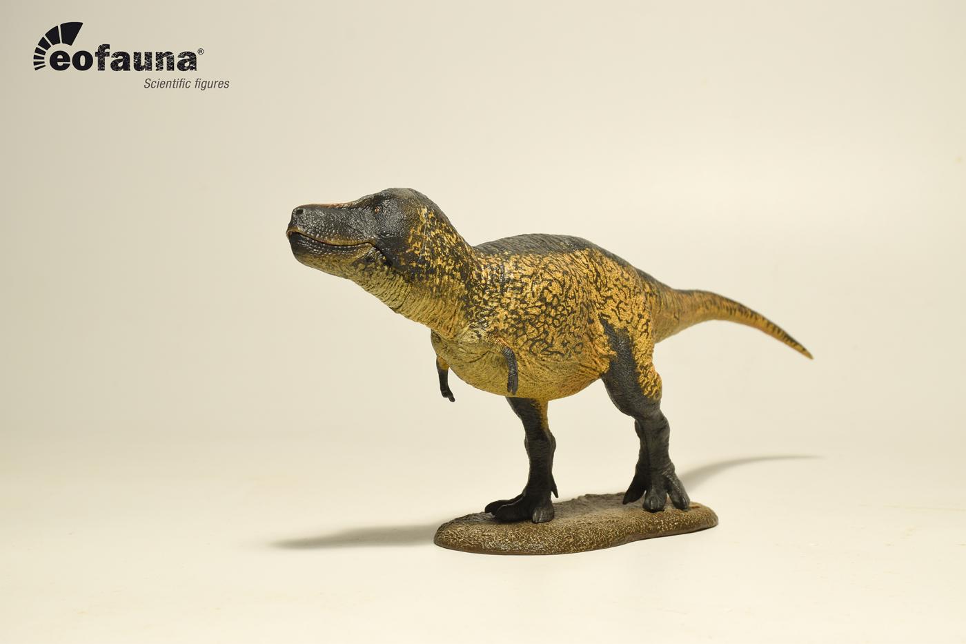 Tyrannosurus Rex Sue 1:35 eo009