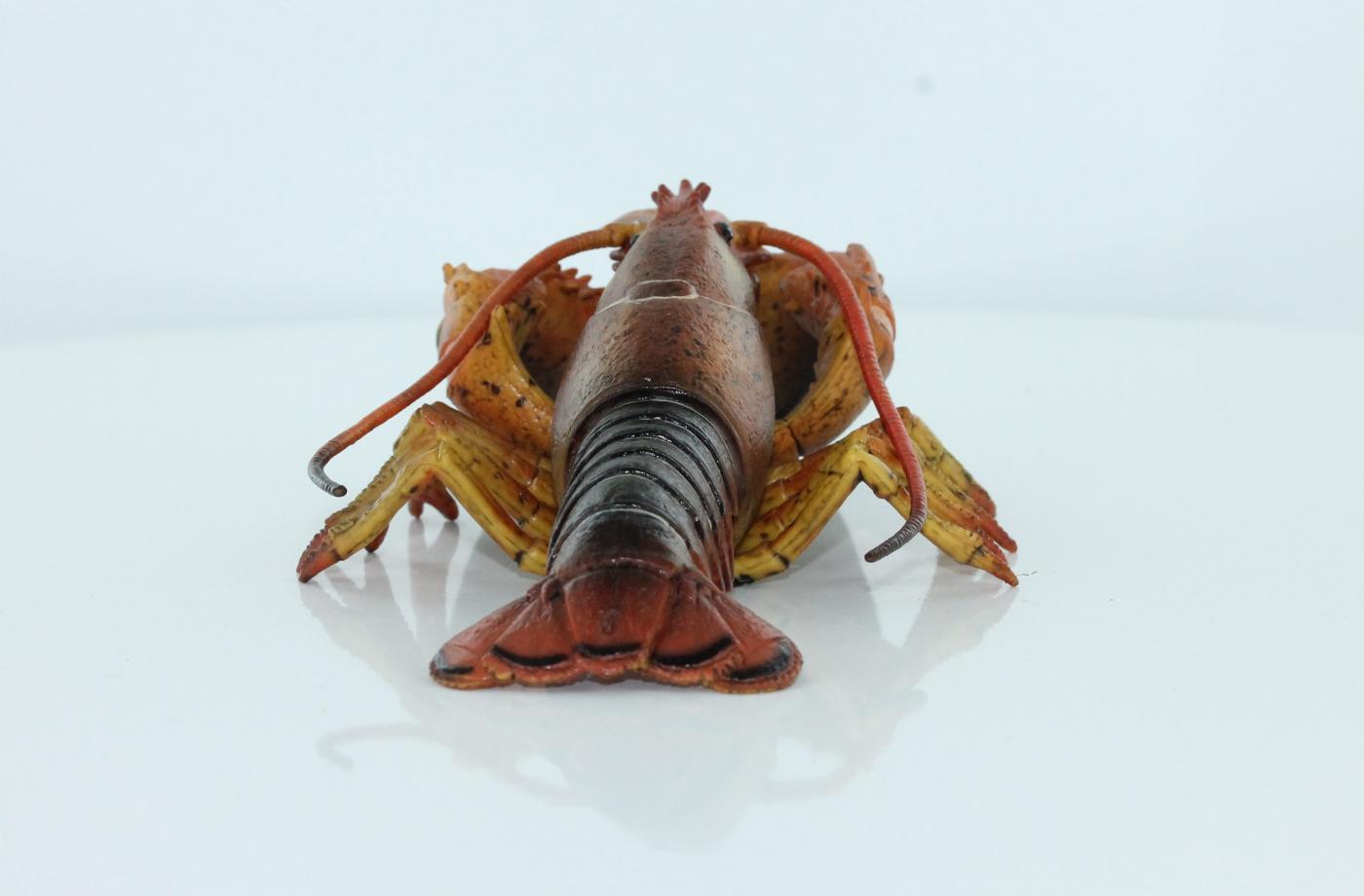 CollectA Sea Life Figurines: CollectA Lobster 88920