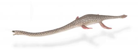 CollectA Urzeit: CollectA Elasmosaurus 88922