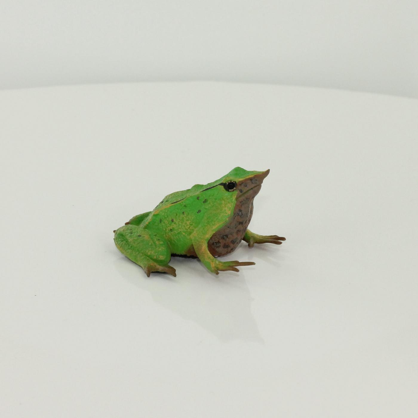 CollectA Wild Life Collection: CollectA Darwins Frog 88938