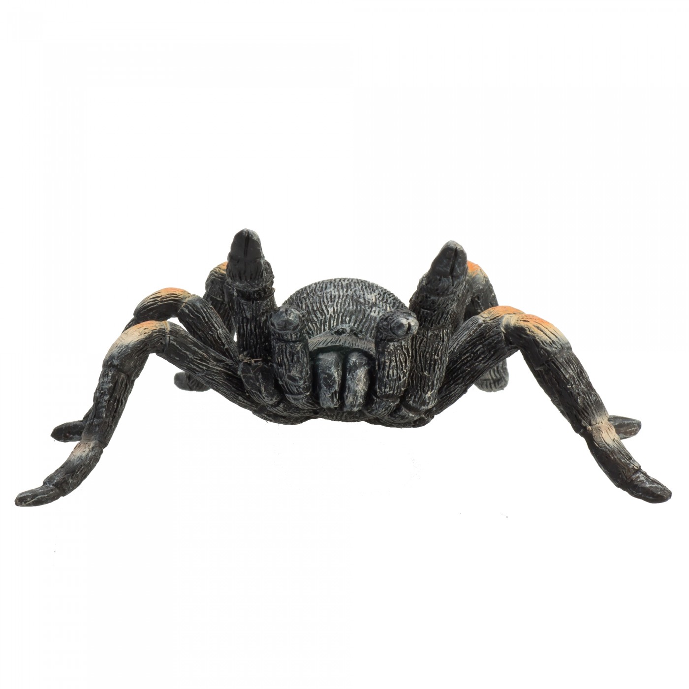 Animal Planet Tarantula spider 387213