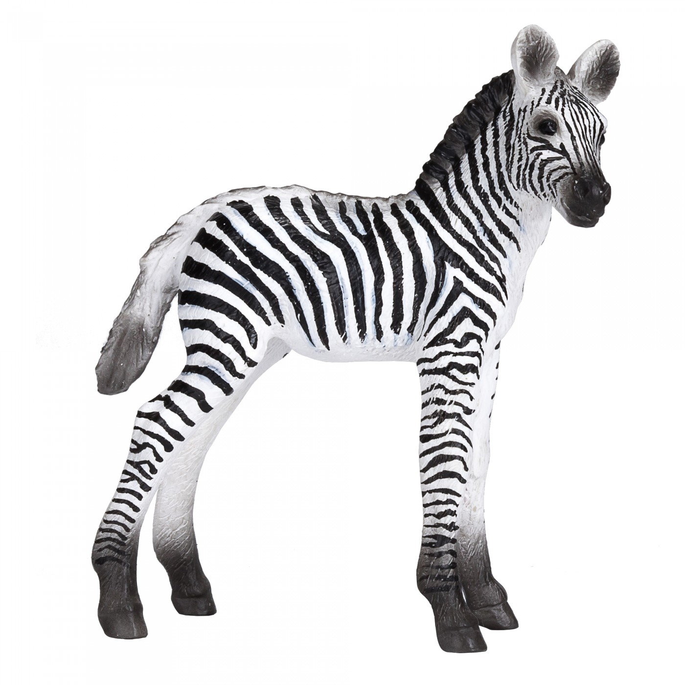 Animal Planet zebra foal 387394