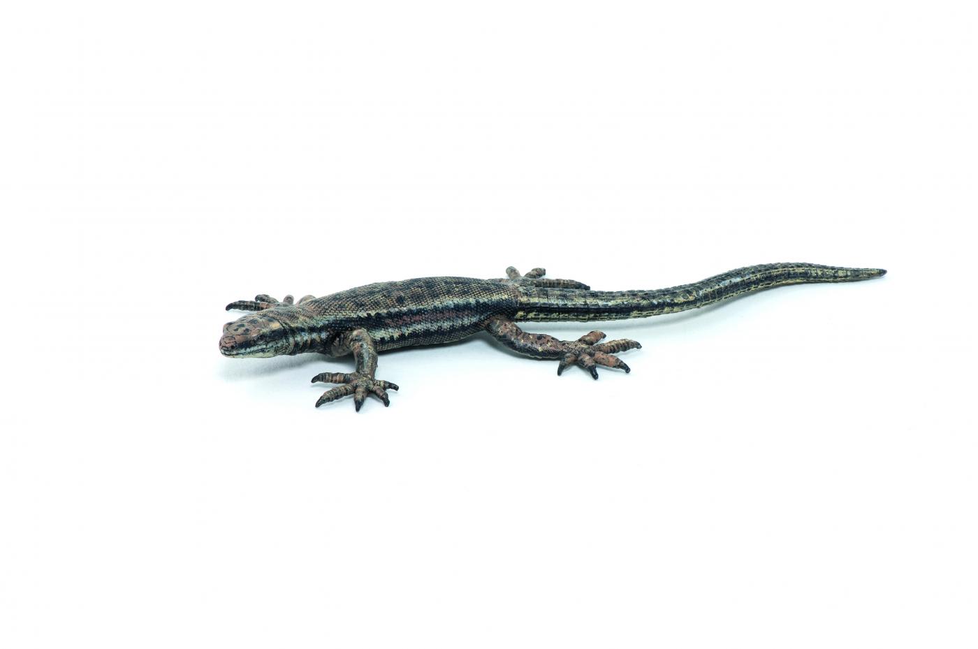 Papo Wild Animal Kingdom: Papo Common lizard 50300