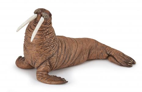 Papo Marine Life: Papo Walrus 56030