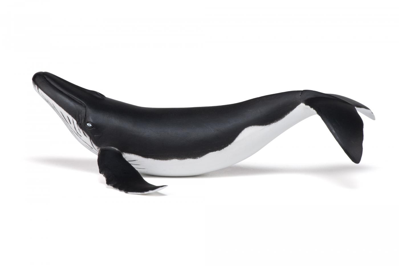 Papo Marine Life: Papo Humpback whale calf 56035