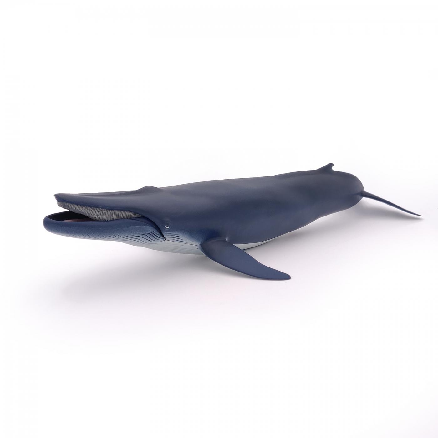 Papo Marine Life: Papo Blue whale 56037