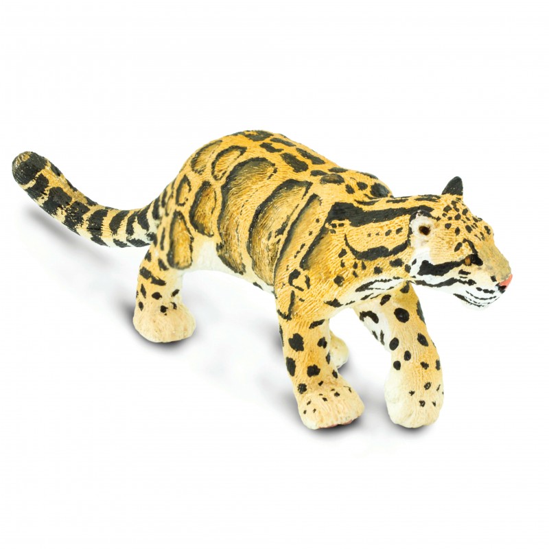 Safari Wild Life: Safari Clouded leopard 100239