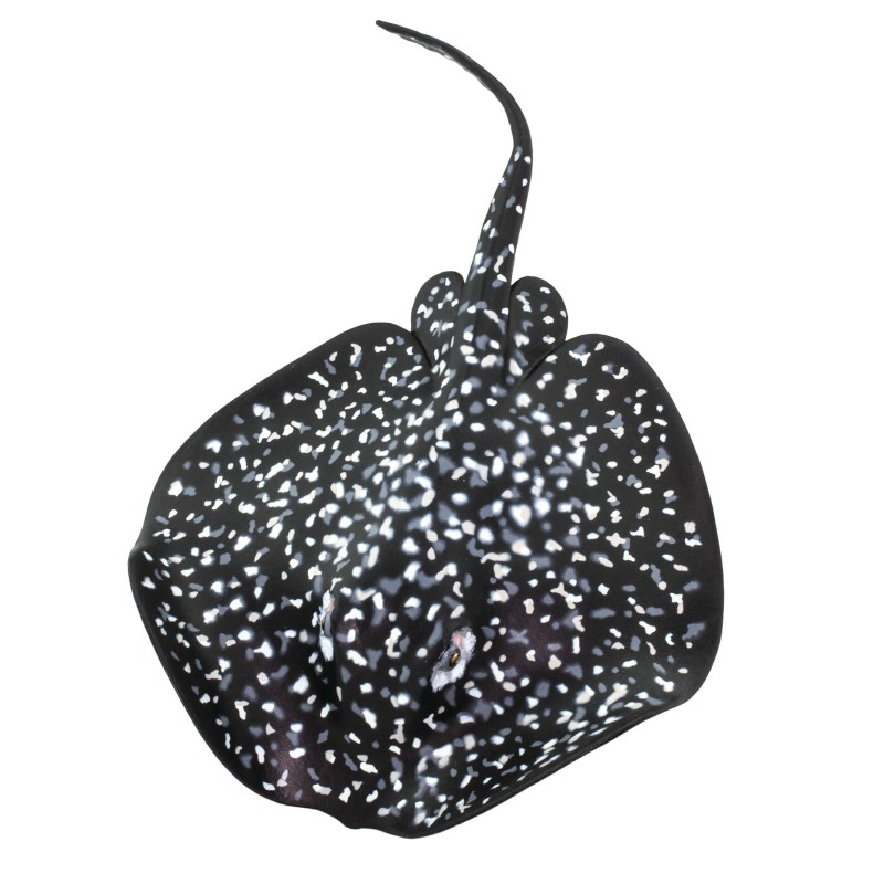 Safari Unglaubliche Kreaturen: Safari Marmor-Zitterrochen 100317