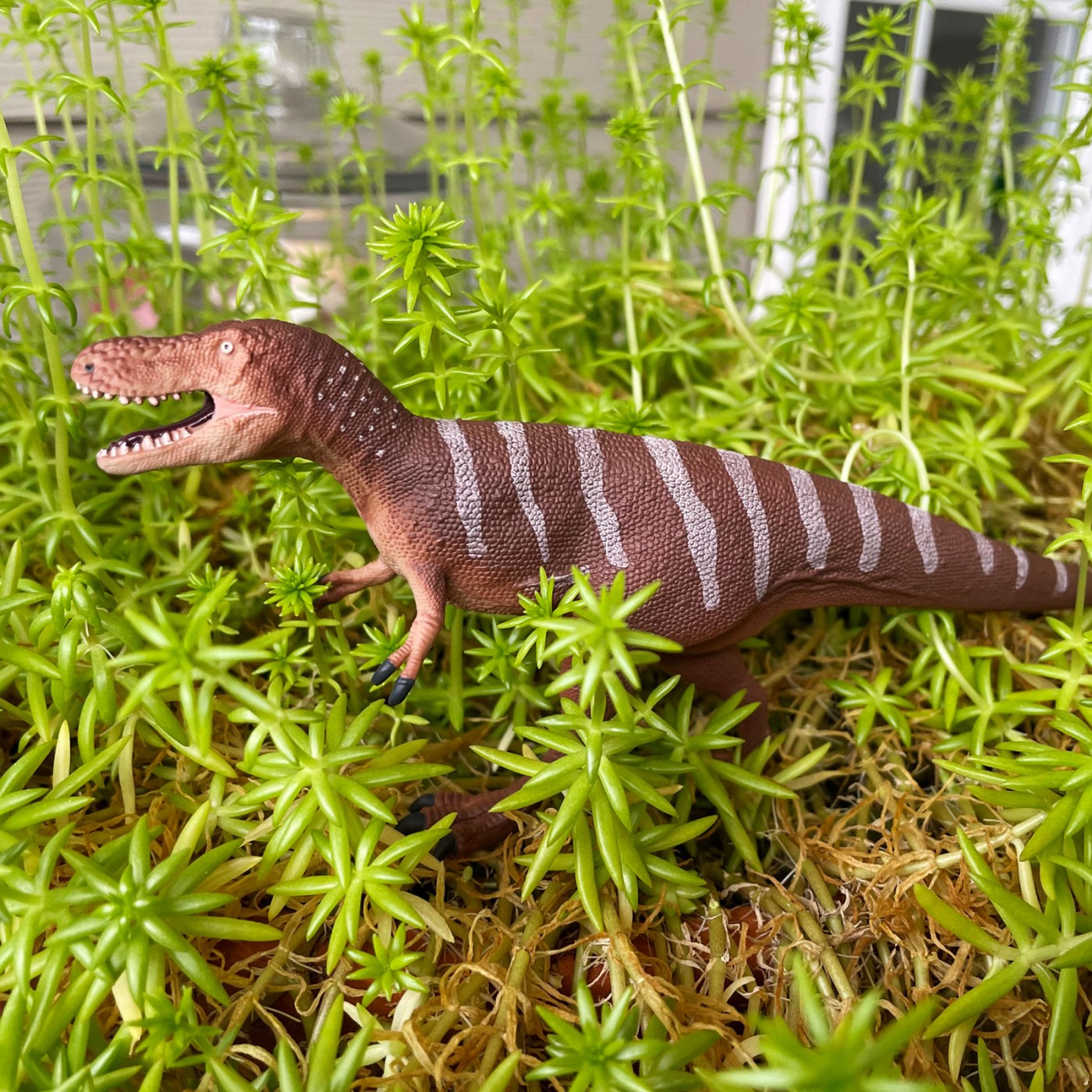 Safari Prehistoric World: Safari Nanotyrannus dino 1010