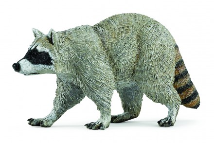 Safari Ltd 2230 raccoon - animal figures at spielzeug-guenstig.de